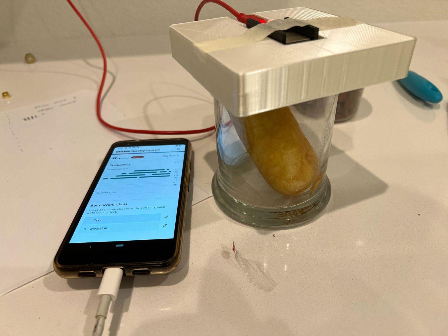 The Food Allergy Detective | The Lemelson Foundation