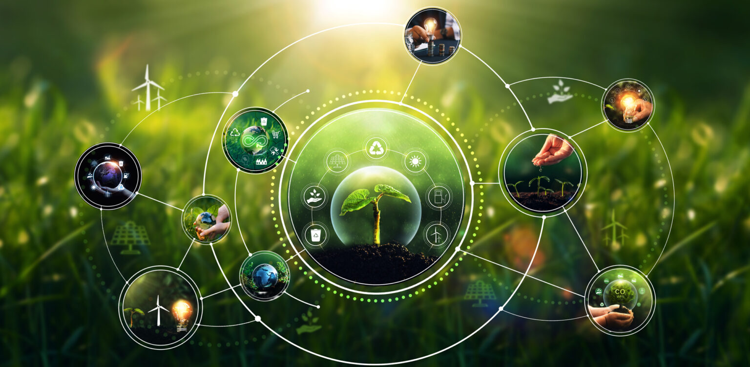 Climate Action | The Lemelson Foundation